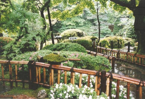 Nikko-Garden in the Rain - Living + Nomads – Travel tips, Guides, News ...