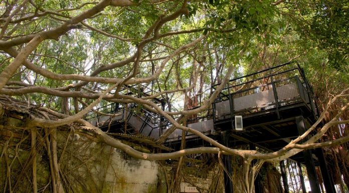 1200px-Anping_Tree_House,_Tainan_(Taiwan) - Living + Nomads – Travel ...