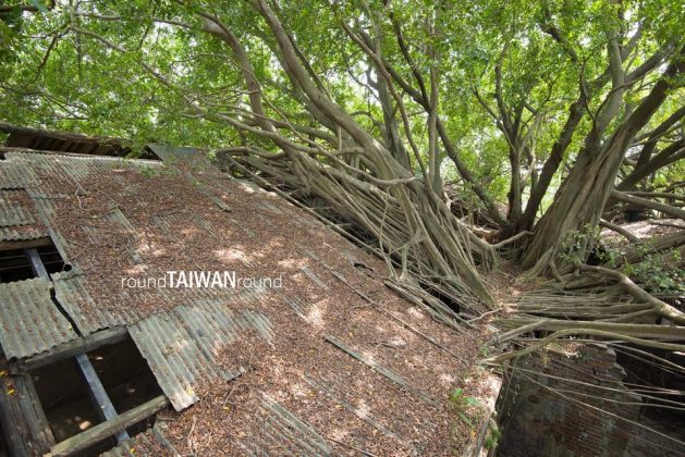 Taiwan-tainan-anping-tree-house - Living + Nomads – Travel tips, Guides ...