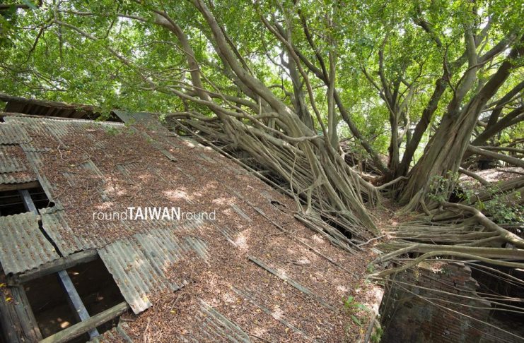 Taiwan-tainan-anping-tree-house - Living + Nomads – Travel tips, Guides ...