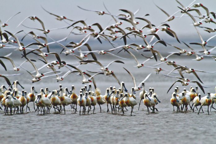 Cigu Salt Mountain - Living + Nomads – Travel tips, Guides, News ...