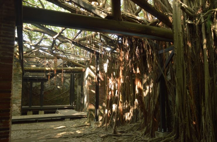 taiwan-tainan-roof-anping-tree-house - Living + Nomads – Travel tips ...