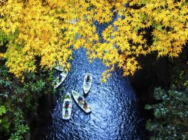 The ULTIMATE Miyazaki travel guide: Top attractions, what to eat, where ...