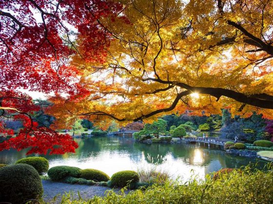 Where to see fall foliage in Japan 2025: 19+ Most beautiful & Best ...