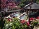 Taiwan hot springs (Taiwan onsen) — Explore top 7 best hot springs in ...