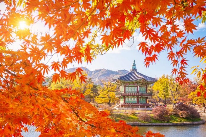 Korea fall foliage forecast 2025 — The time & 16+ best place to see ...
