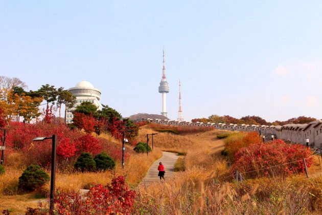 How to visit Korea in November: 12+ Top things to do & best places to ...