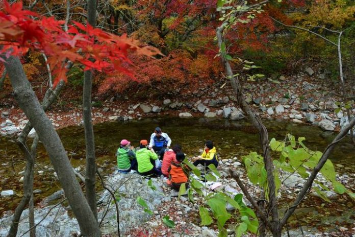 Busan fall foliage forecast 2025 — When & 6+ best places to visit in ...