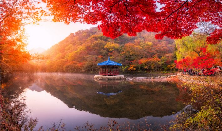 How to visit Korea in November: 12+ Top things to do & best places to ...