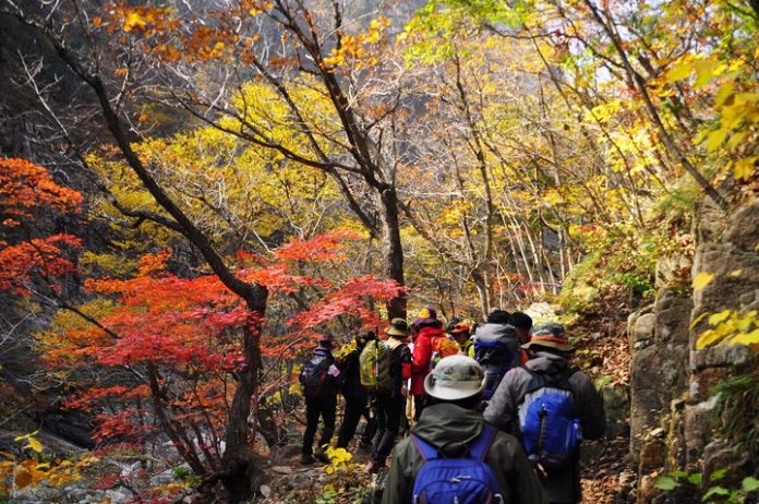 Busan fall foliage forecast 2025 — When & 6+ best places to visit in ...