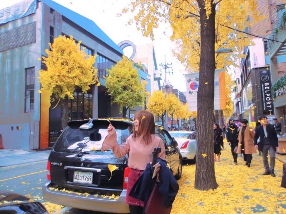 Korea fall foliage forecast 2025 — The time & 16+ best place to see ...