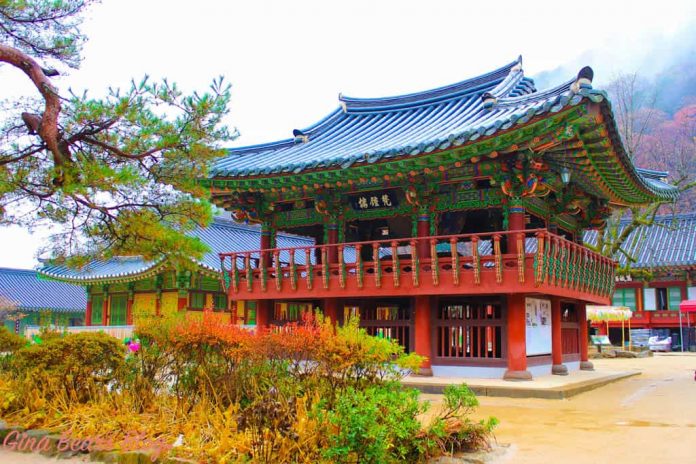 How to visit Korea in November: 12+ Top things to do & best places to ...