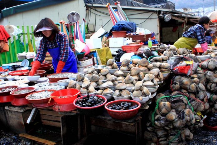 Busan market — 5 best seafood market in Busan & Busan traditional ...