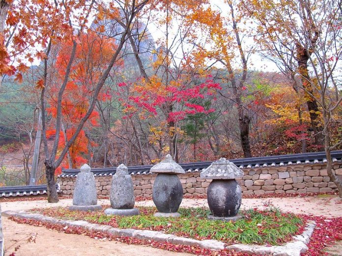 Busan fall foliage forecast 2025 — When & 6+ best places to visit in ...