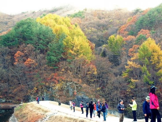 Busan fall foliage forecast 2025 — When & 6+ best places to visit in ...