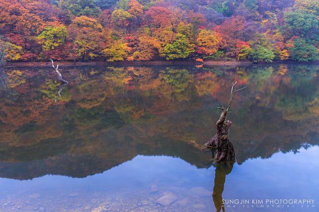 Busan fall foliage forecast 2025 — When & 6+ best places to visit in ...