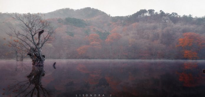 Busan fall foliage forecast 2025 — When & 6+ best places to visit in ...