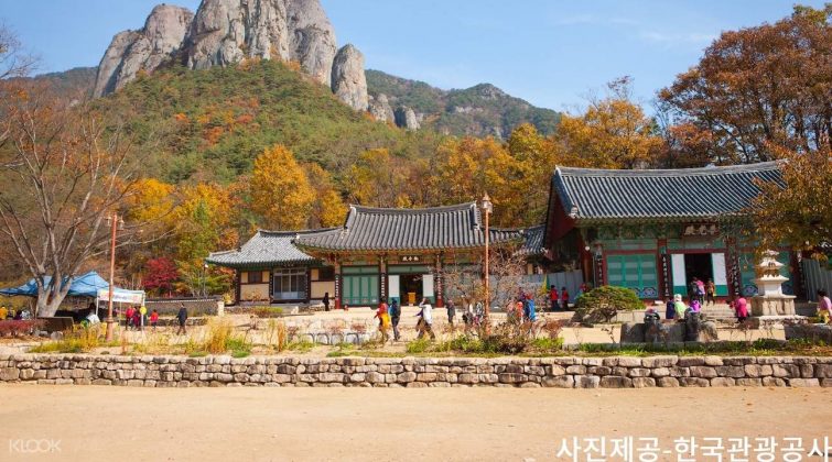 Busan fall foliage forecast 2025 — When & 6+ best places to visit in ...