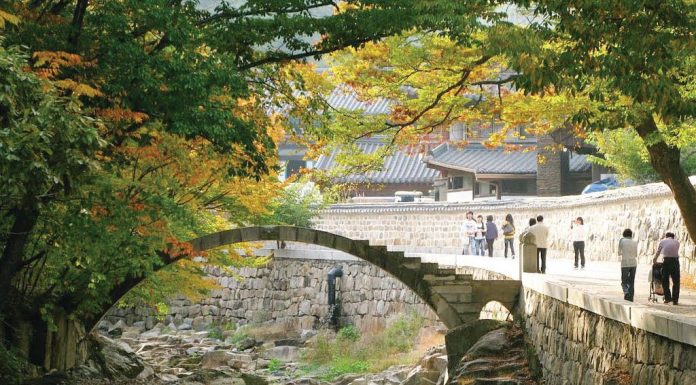 Busan fall foliage forecast 2025 — When & 6+ best places to visit in ...