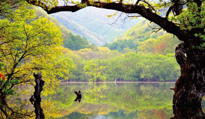 Busan fall foliage forecast 2025 — When & 6+ best places to visit in ...