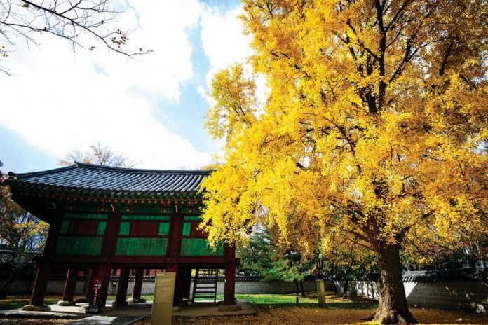 Jeonju travel blog — The fullest Jeonju guide for first-timers - Living ...
