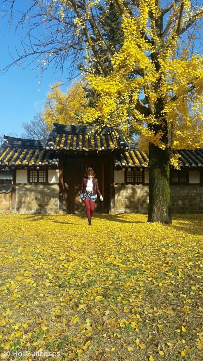 Jeonju travel blog — The fullest Jeonju guide for first-timers - Living ...