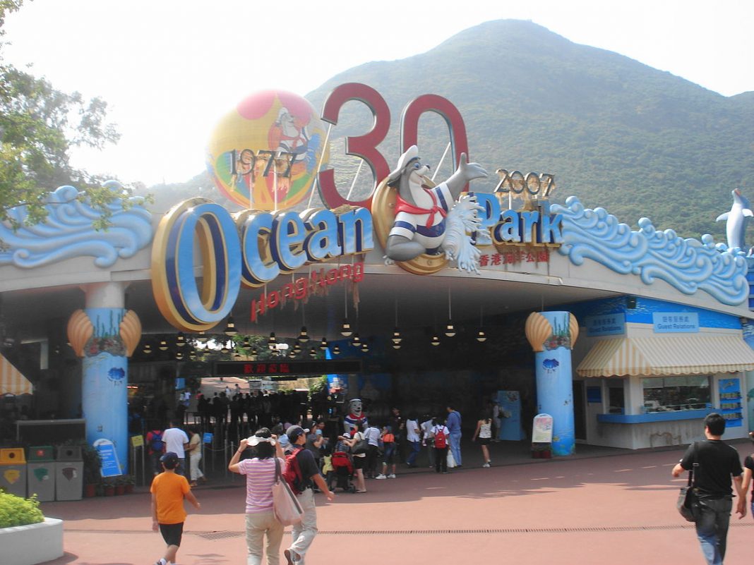 Ocean Park Hong Kong blog — The Ocean Park Hong Kong guide & what to do ...