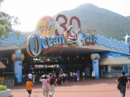 Ocean Park Hong Kong review. The ultimate guide & best things to do in ...
