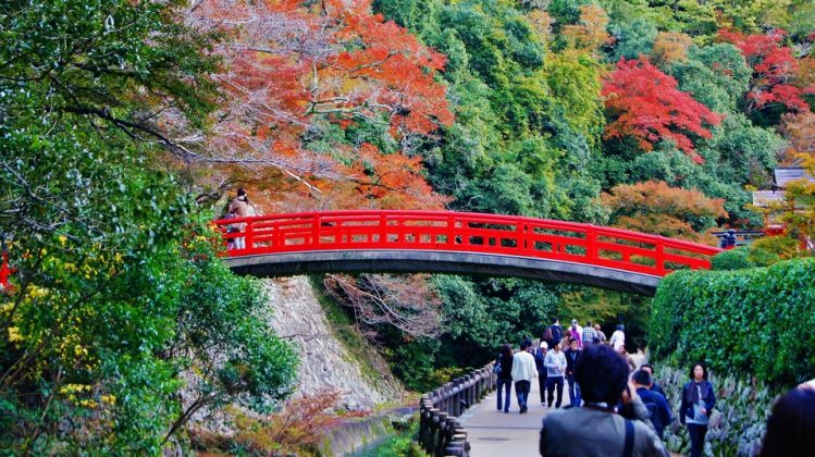 Minoo park osaka11253 - Living + Nomads – Travel tips, Guides, News ...