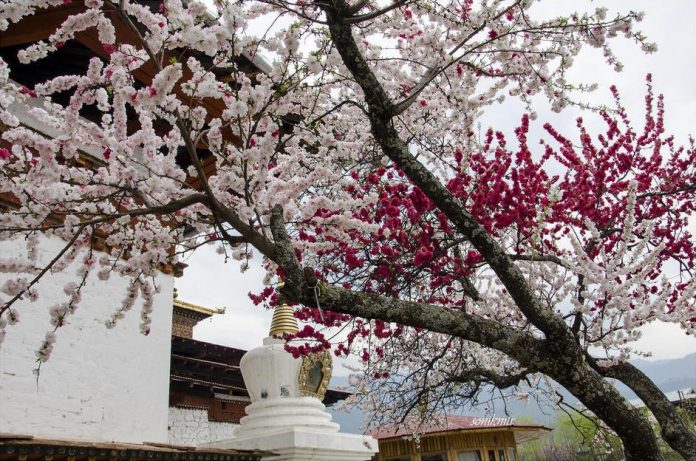 Bhutan travel blog — The fullest Bhutan travel guide blog for a ...