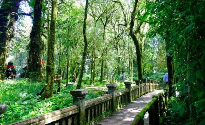 Doi Inthanon blog — The fullest guide for what to do in Doi Inthanon in ...