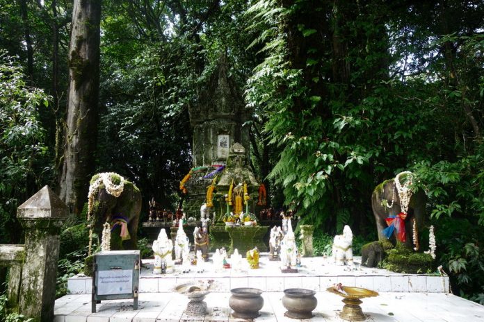 Doi Inthanon blog — The fullest guide for what to do in Doi Inthanon in ...