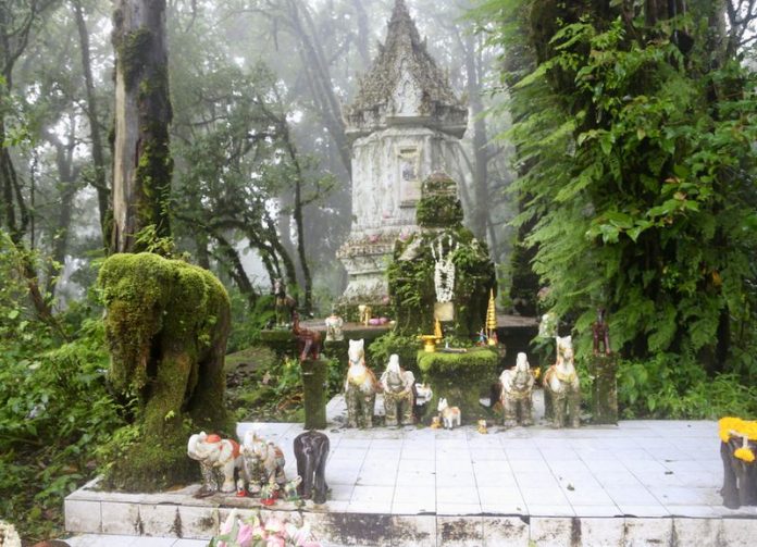 Doi Inthanon blog — The fullest guide for what to do in Doi Inthanon in ...