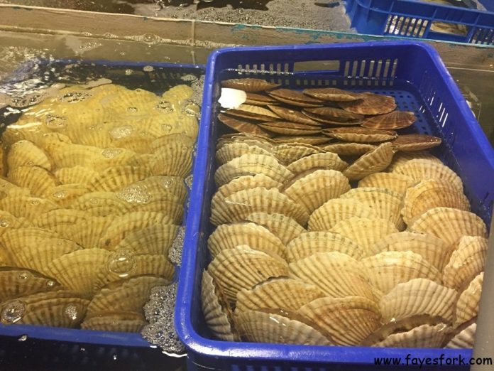 Explore Taipei Fish Market — Review seafood experience at Taiwan’s most ...