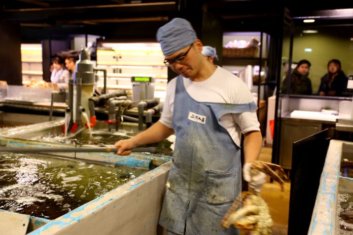 Explore Taipei Fish Market — Review seafood experience at Taiwan’s most ...