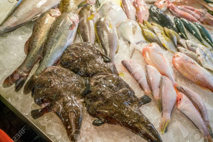 Explore Taipei Fish Market — Review seafood experience at Taiwan’s most ...