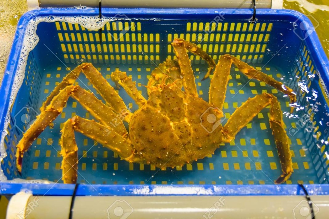 Explore Taipei Fish Market — Review seafood experience at Taiwan’s most ...