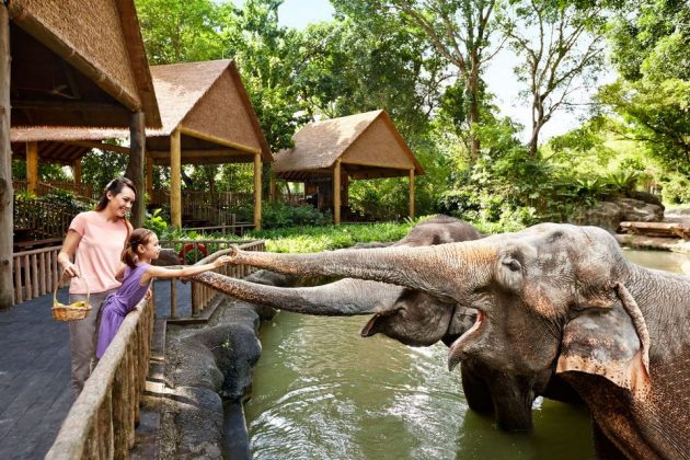 31+ must-see places & top things to do in Singapore for all kinds of ...