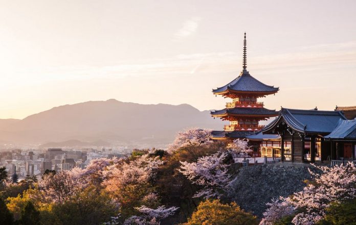 What is Hanami in Japan? The meaning & 9+ best places for Hanami in ...