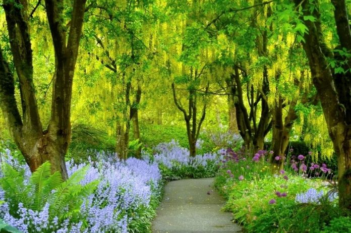 Vancouver travel blog — The fullest Vancouver travel guide for first ...