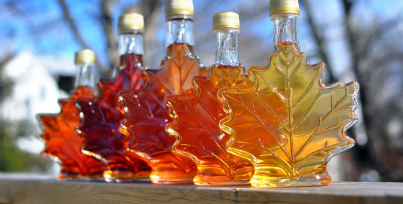 What to buy in Vancouver? — 11+ must-buy gifts, souvenirs & best things ...