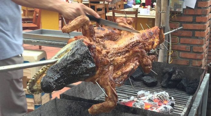 crocodile meat australia (4) - Living + Nomads – Travel tips, Guides ...