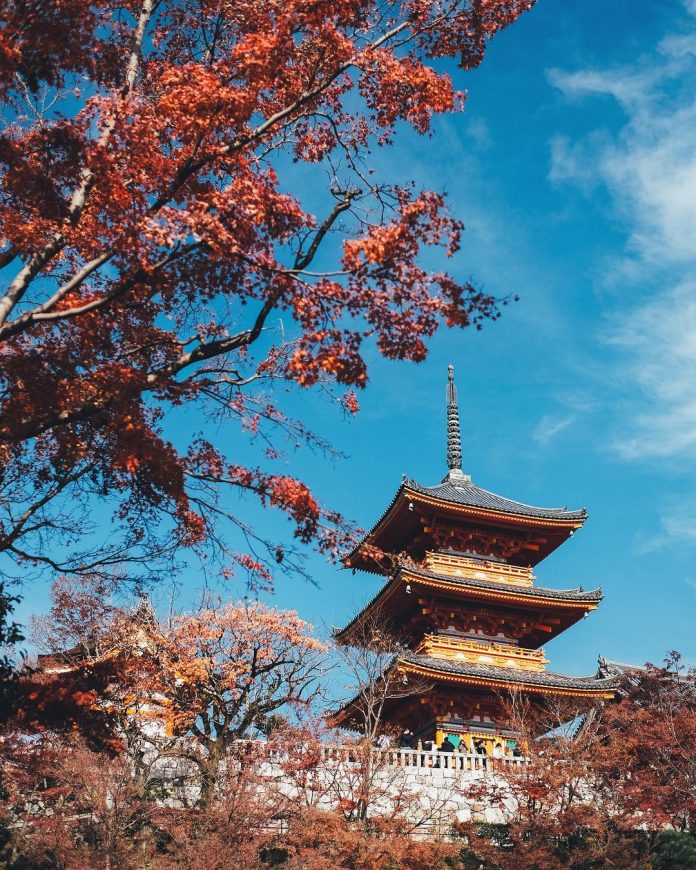 Kyoto fall foliage forecast 2024 — The timeframe & 15+ best place to ...