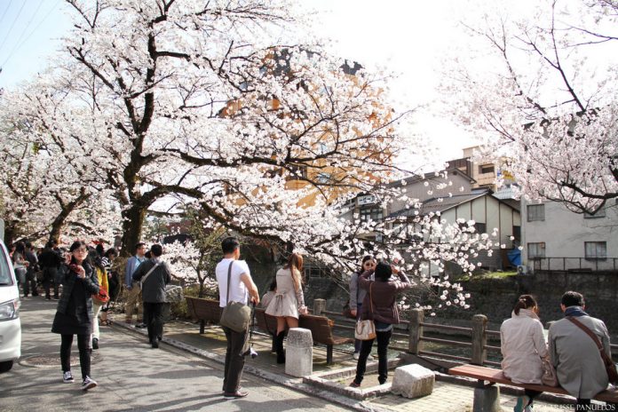 Takayama guide — The fullest Takayama travel blog & guide for first ...