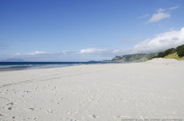 Pakiri Beach - Living + Nomads – Travel tips, Guides, News & Information!