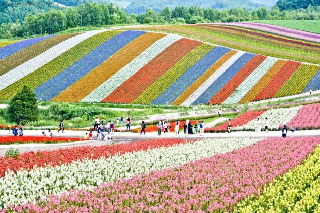 Sapporo weekend itinerary — How to spend 36 hours in Sapporo at the ...