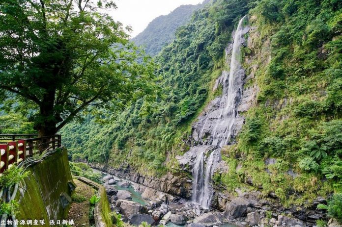 Wulai travel blog — How to explore the peaceful Wulai in 1 day trip ...