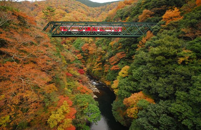 Hakone travel blog — The Hakone travel guide & how to spend 2 days in ...