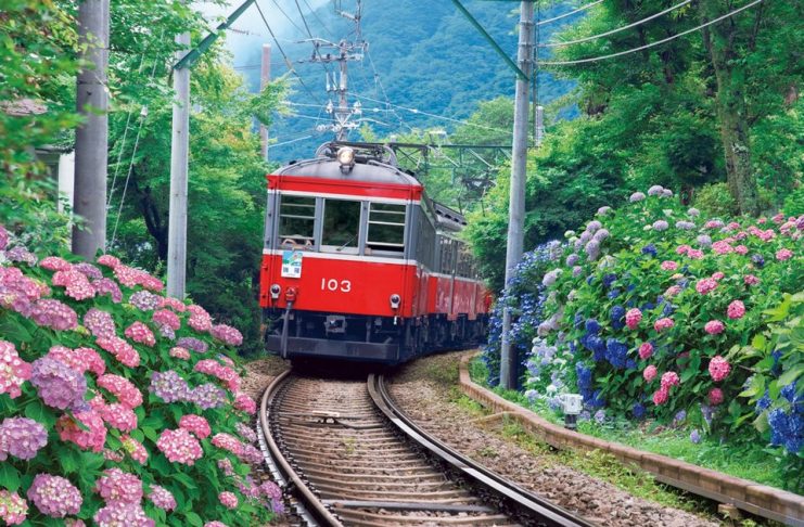 Hakone Tozan Railway (3) - Living + Nomads – Travel tips, Guides, News ...