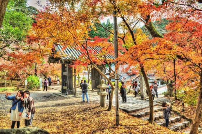 Fukuoka travel blog — The fullest Fukuoka travel guide for first-timers ...